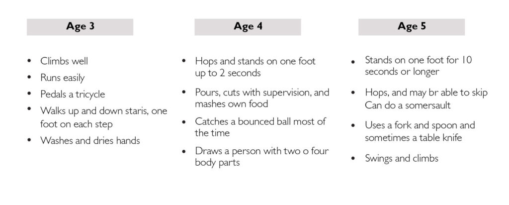 Everything About Physical Development During Early Childhood